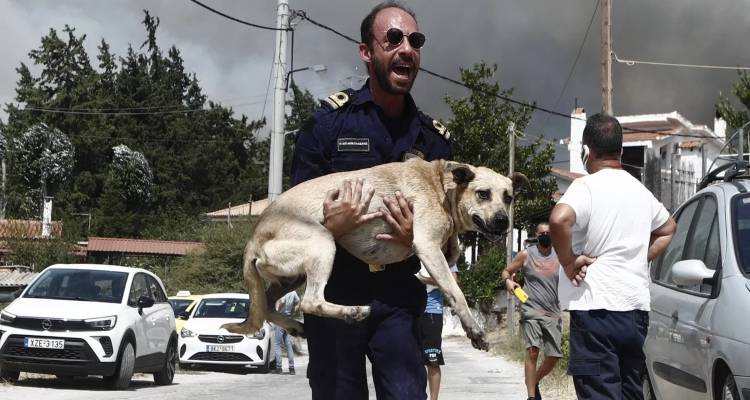 Δραματικές ώρες στην Πάρνηθα από τη φωτιά -Εκκενώθηκαν τρεις οικισμοί ...